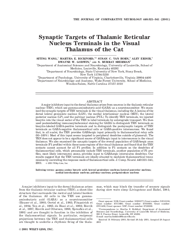 (PDF) Synaptic targets of thalamic reticular nucleus terminals in the visual thalamus of the cat