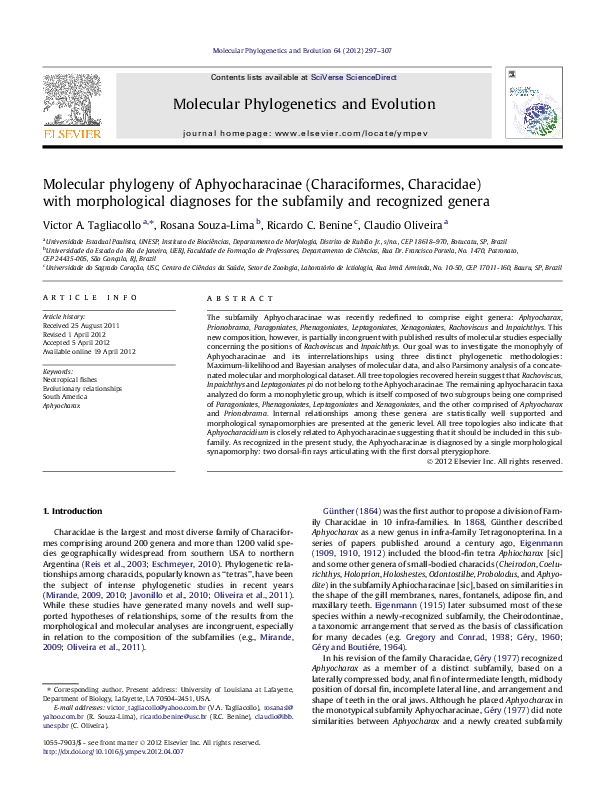 (PDF) Molecular phylogeny of Aphyocharacinae (Characiformes, Characidae) with morphological ...