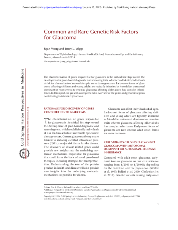 (PDF) Common and rare genetic risk factors for glaucoma