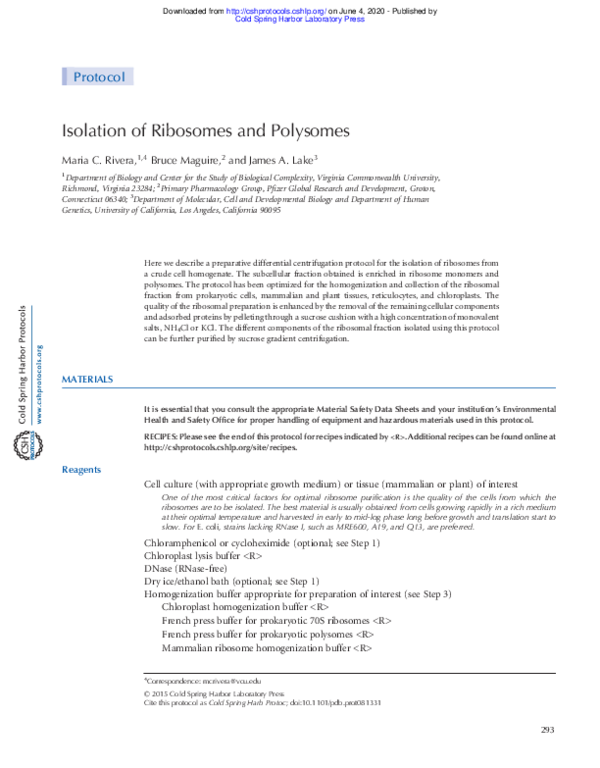 (PDF) Isolation of ribosomes and polysomes