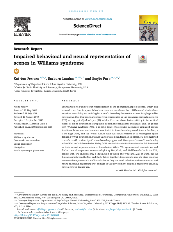 (PDF) Impaired behavioral and neural representation of scenes in ...