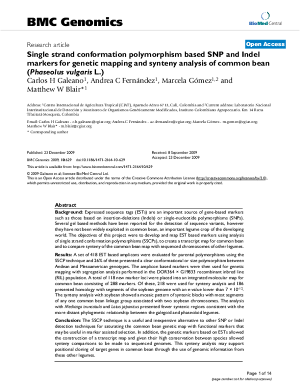 (PDF) Single strand conformation polymorphism based SNP and Indel markers for genetic mapping ...