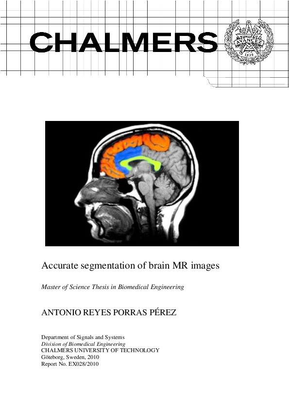 (PDF) Accurate segmentation of brain MR images
