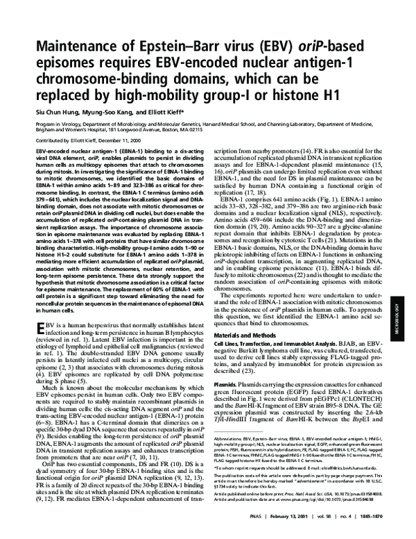 (PDF) Maintenance of Epstein–Barr virus (EBV) oriP -based episomes ...