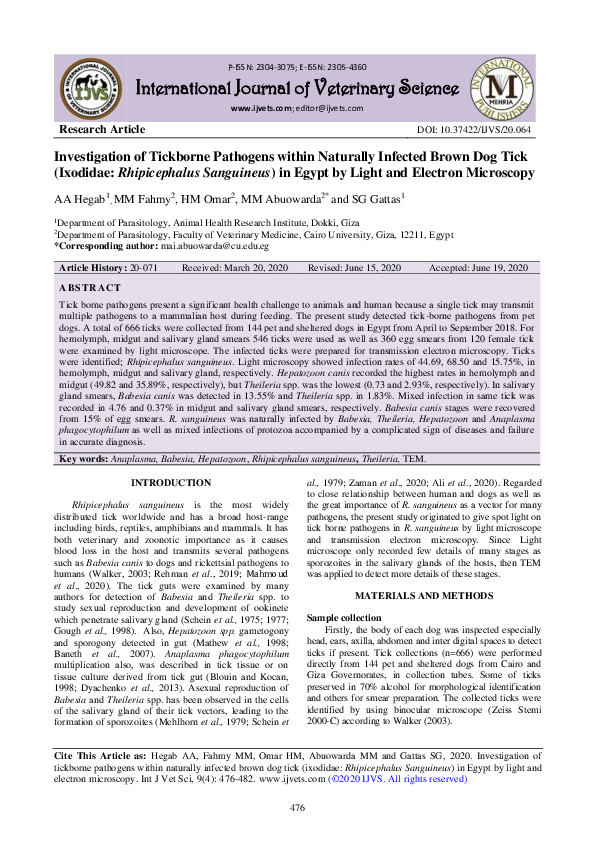 (PDF) Investigation of Tickborne Pathogens within Naturally Infected ...