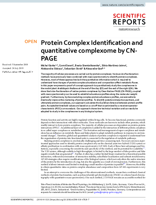 (PDF) Protein Complex Identification and quantitative complexome by CN-PAGE