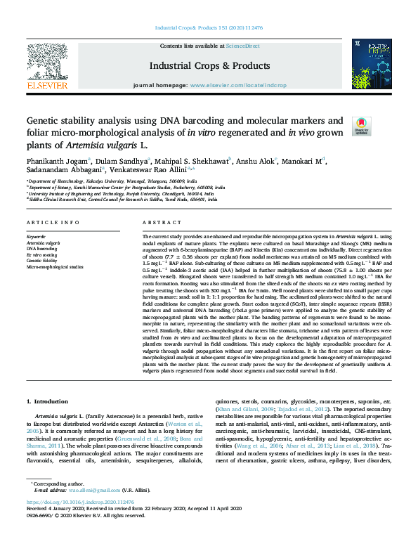 (PDF) Genetic stability analysis using DNA barcoding and molecular ...