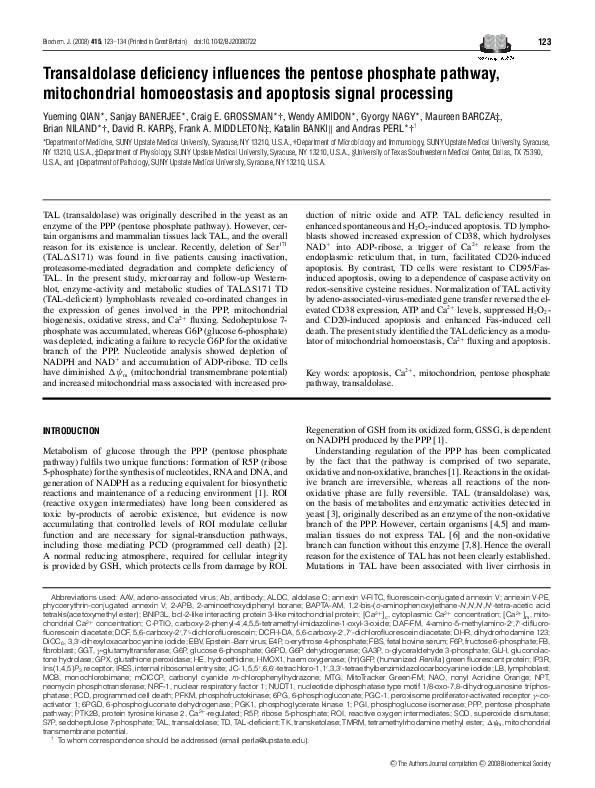 (PDF) Transaldolase deficiency influences the pentose phosphate pathway ...
