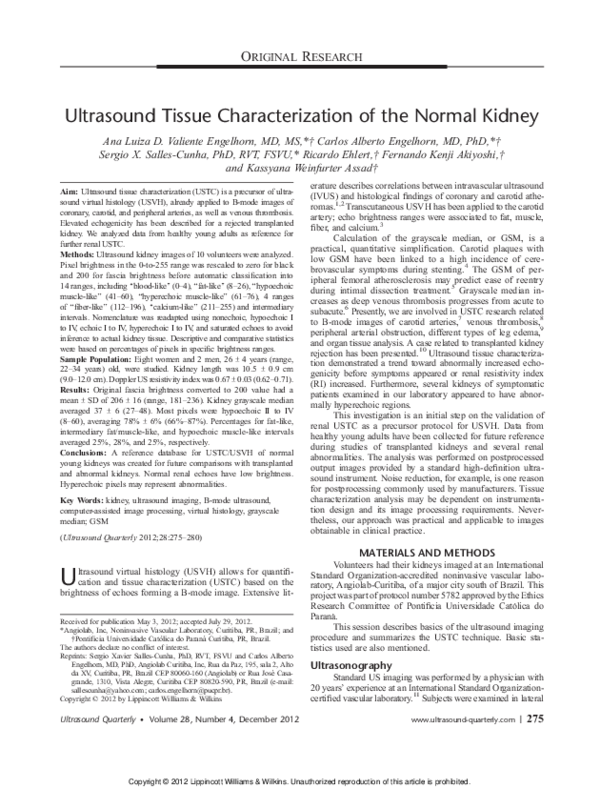 (PDF) Ultrasound Tissue Characterization of the Normal Kidney