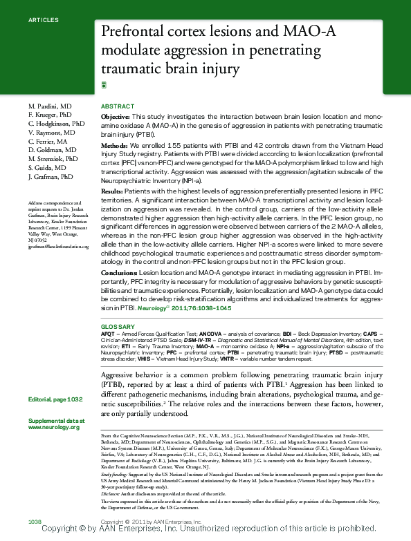 (PDF) Prefrontal cortex lesions and MAO-A modulate aggression in ...