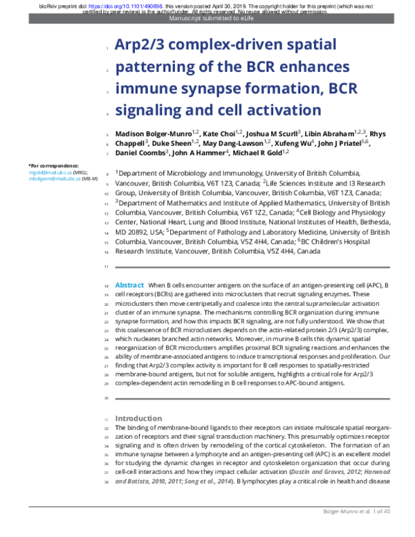 (PDF) Arp2/3 complex-driven spatial patterning of the BCR enhances immune synapse formation, BCR ...