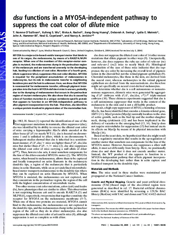 (PDF) dsu functions in a MYO5A-independent pathway to suppress the coat ...