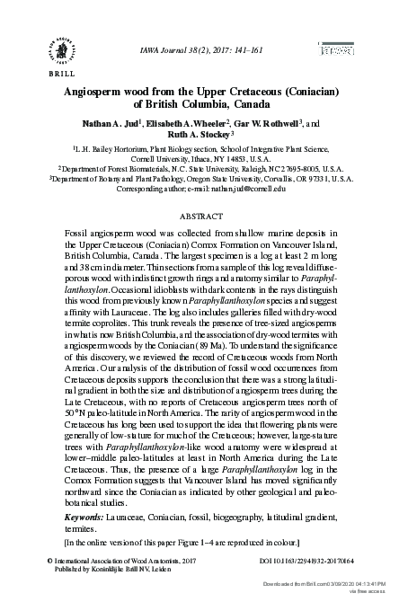 (PDF) Angiosperm wood from the Upper Cretaceous (Coniacian) of British ...