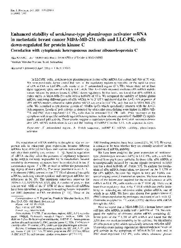 (PDF) Enhanced Stability of Urokinase-Type Plasminogen Activator mRNA ...