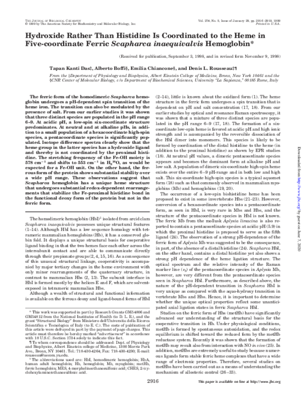 (PDF) Hydroxide Rather Than Histidine Is Coordinated to the Heme in ...