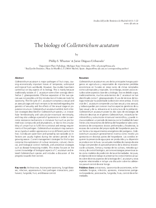 (PDF) The biology of Colletotrichum acutatum