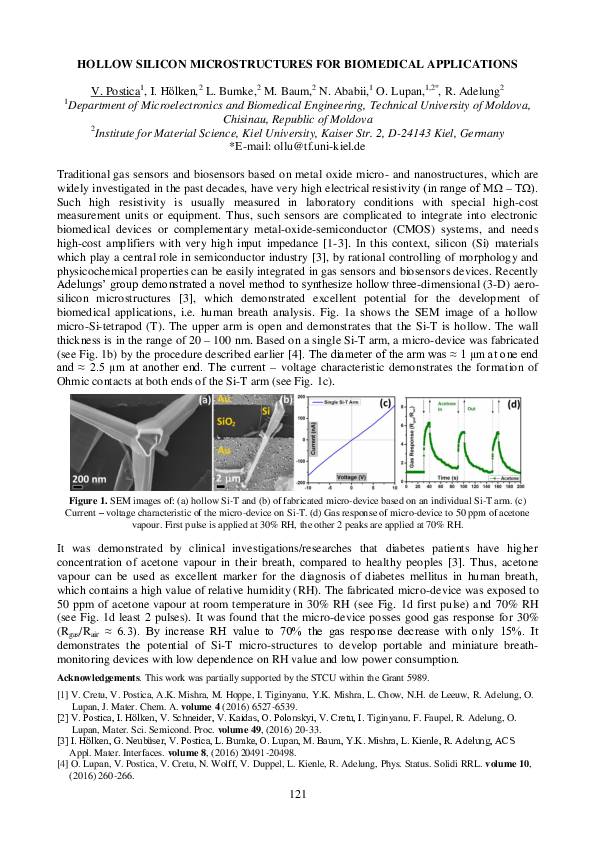 (PDF) Hollow silicon microstructures for biomedical applications