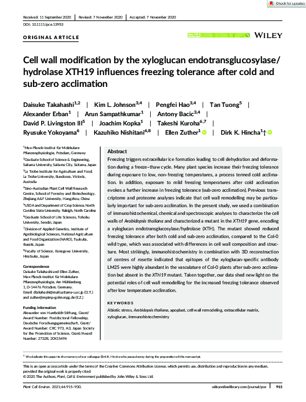 (PDF) Cell wall modification by the xyloglucan endotransglucosylase ...