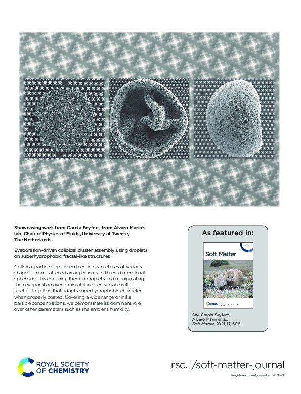 Evaporation-driven colloidal cluster assembly using droplets on superhydrophobic fractal-like ...