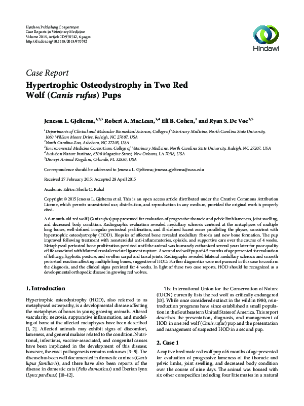 (PDF) Hypertrophic Osteodystrophy in Two Red Wolf ( Canis rufus ) Pups