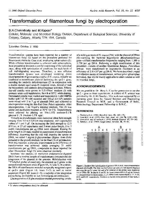 (PDF) Transformation of filamentous fungi by electroporation