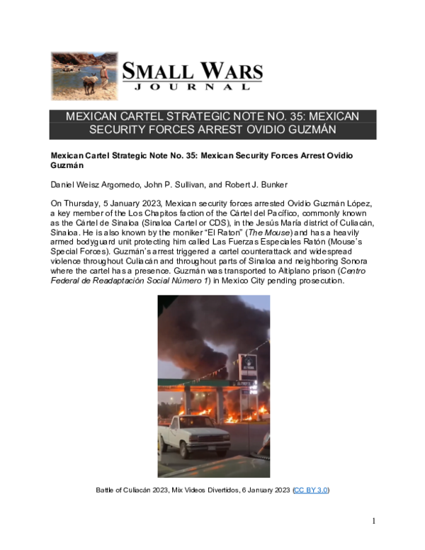 (PDF) Mexican Cartel Strategic Note No. 35: Mexican Security Forces ...