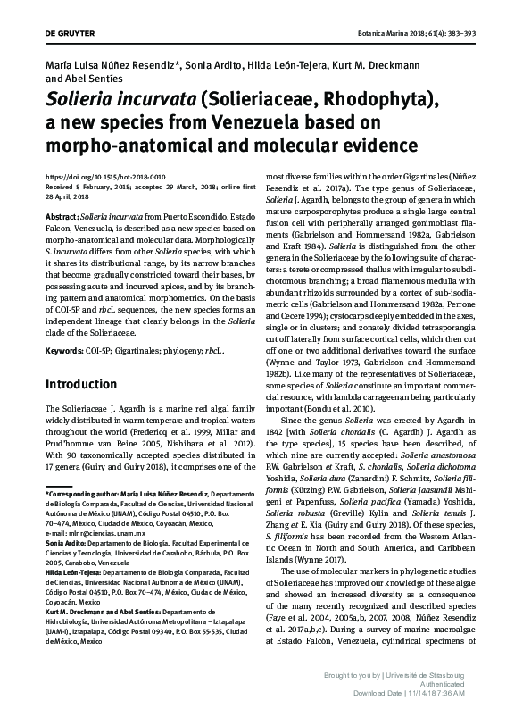 (PDF) Solieria incurvata (Solieriaceae, Rhodophyta), a new species from ...
