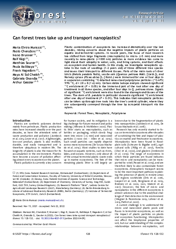 (PDF) Can forest trees take up and transport nanoplastics?