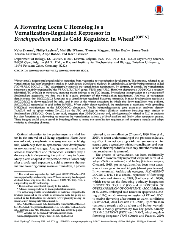 (PDF) A Flowering locus C homolog is a vernalization-regulated ...