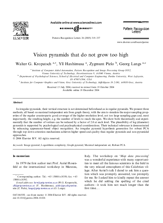 (PDF) Vision pyramids that do not grow too high