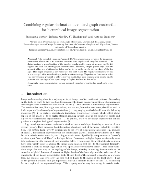 (PDF) Combining regular decimation and dual graph contraction for hierarchical image segmentation