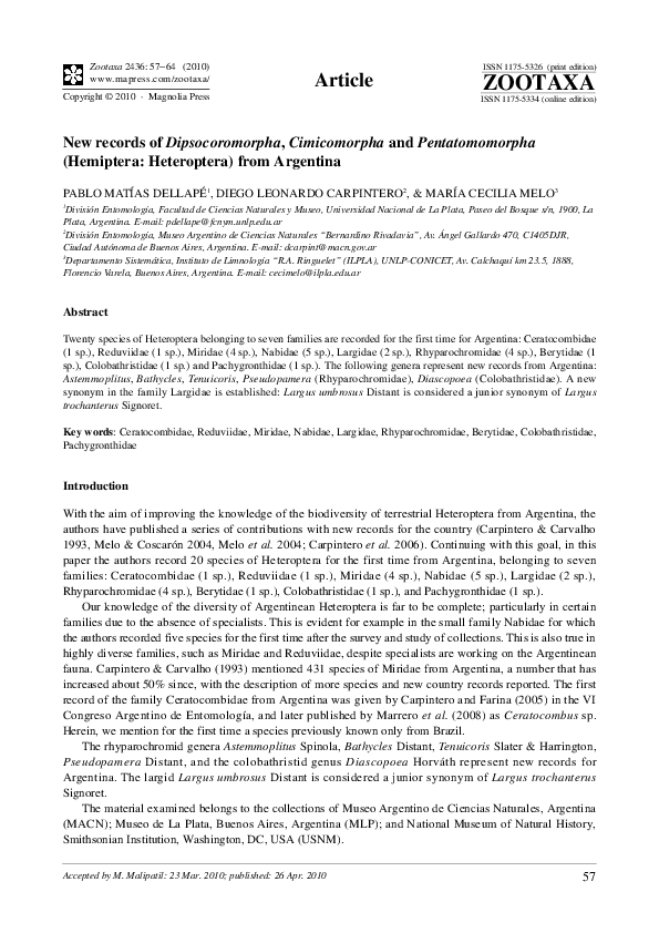(PDF) New records of Dipsocoromorpha, Cimicomorpha and Pentatomomorpha (Hemiptera: Heteroptera ...
