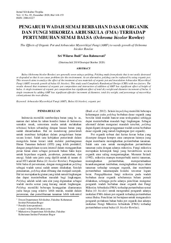 (PDF) Pengaruh Wadah Semai Berbahan Dasar Organik dan Fungi Mikoriza Arbuskula (FMA) Terhadap ...
