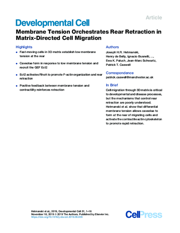 (PDF) Membrane Tension Orchestrates Rear Retraction in Matrix Directed ...