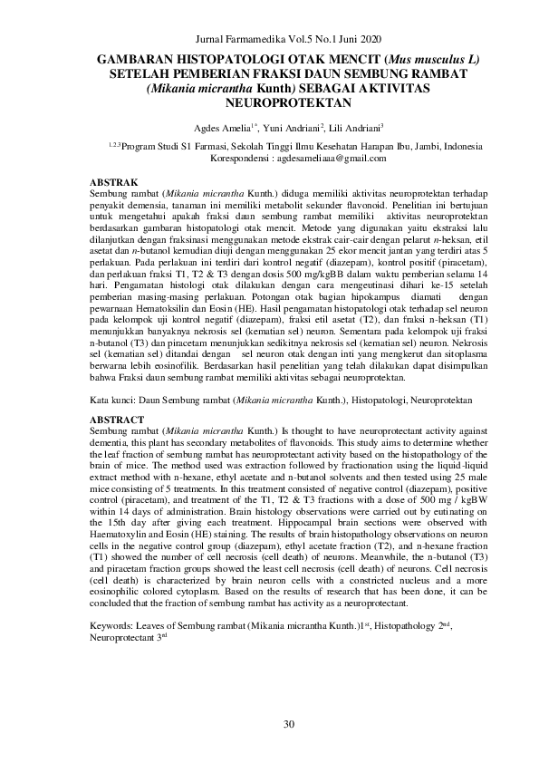 (PDF) GAMBARAN HISTOPATOLOGI OTAK MENCIT (Mus musculus L) SETELAH ...