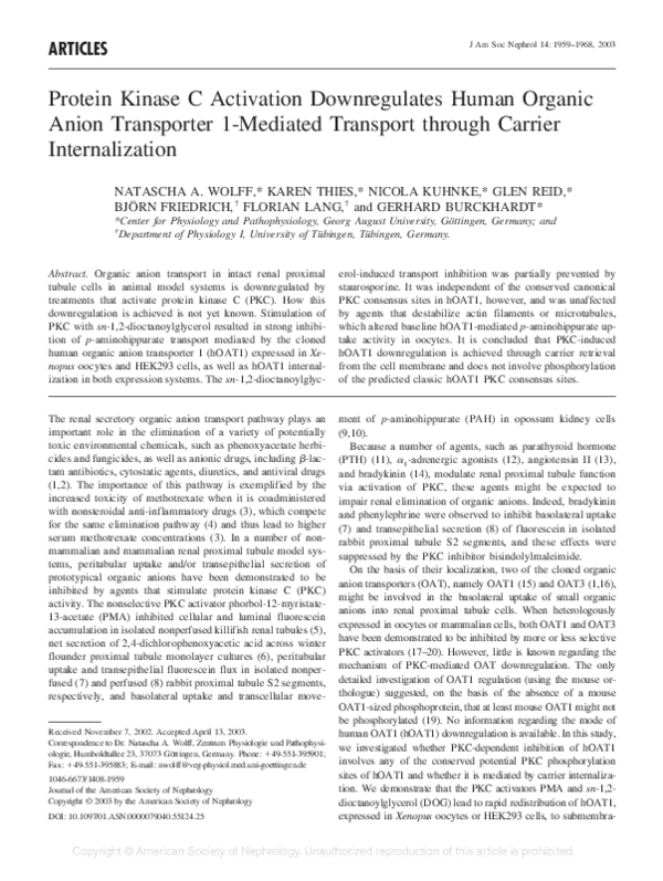(PDF) Protein Kinase C Activation Downregulates Human Organic Anion ...