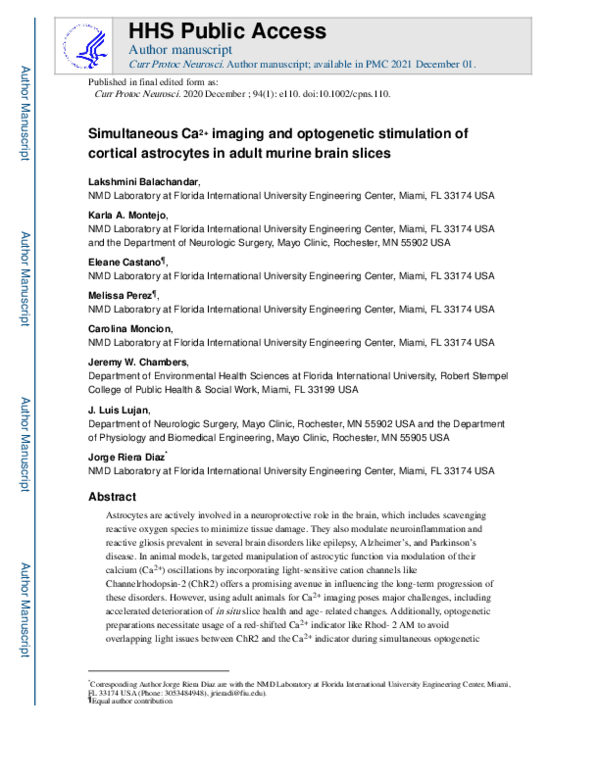 (PDF) Simultaneous Ca 2+ Imaging and Optogenetic Stimulation of ...