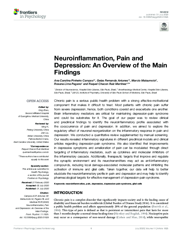 (PDF) Neuroinflammation, Pain and Depression: An Overview of the Main ...