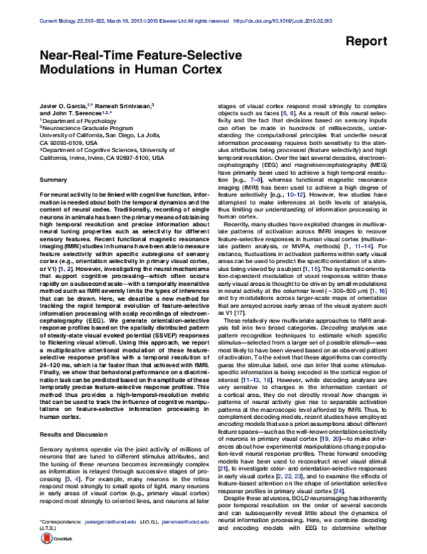(PDF) Near-Real-Time Feature-Selective Modulations in Human Cortex