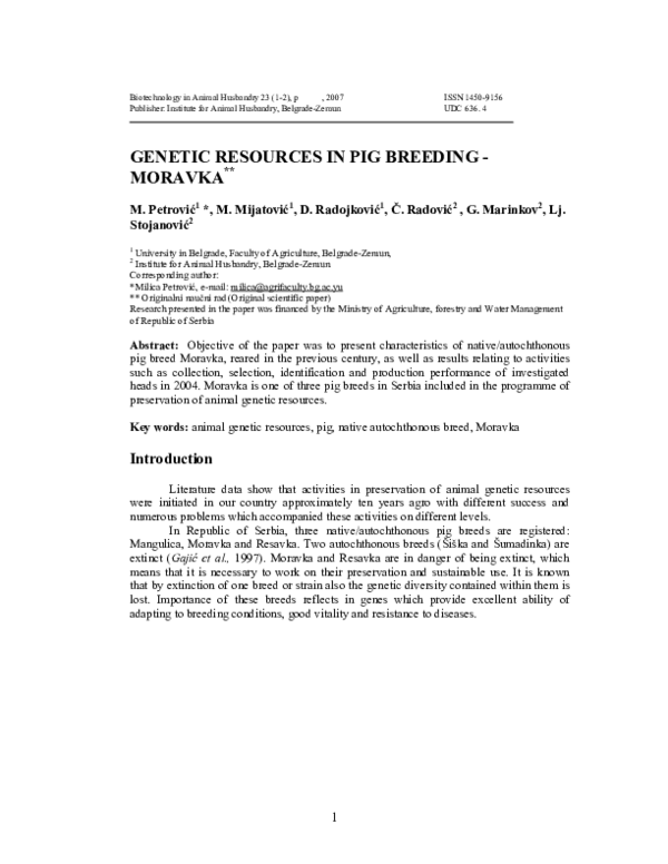 (PDF) Genetic resources in pig breeding: Moravka | Dragan Radojkovic ...
