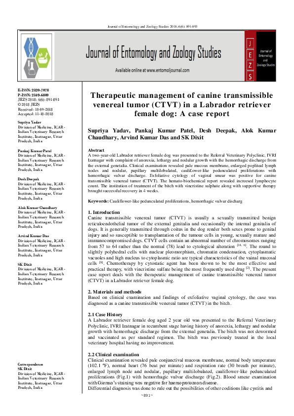 (PDF) Therapeutic management of canine transmissible venereal tumor ...