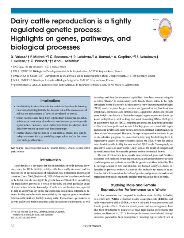 (PDF) Dairy cattle reproduction is a tightly regulated genetic process: Highlights on genes ...