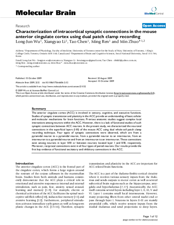 (PDF) Characterization of intracortical synaptic connections in the ...