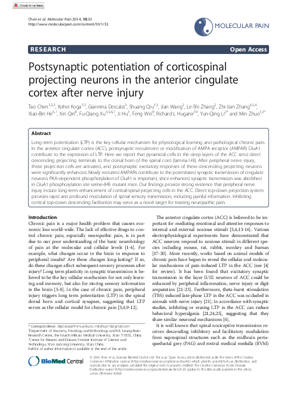 (PDF) Postsynaptic Potentiation of Corticospinal Projecting Neurons in the Anterior Cingulate ...