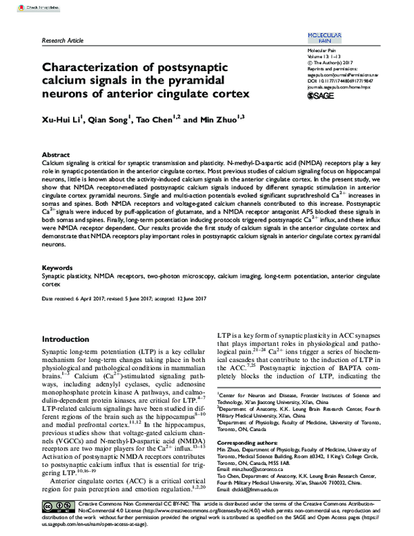 (PDF) Characterization of postsynaptic calcium signals in the pyramidal ...