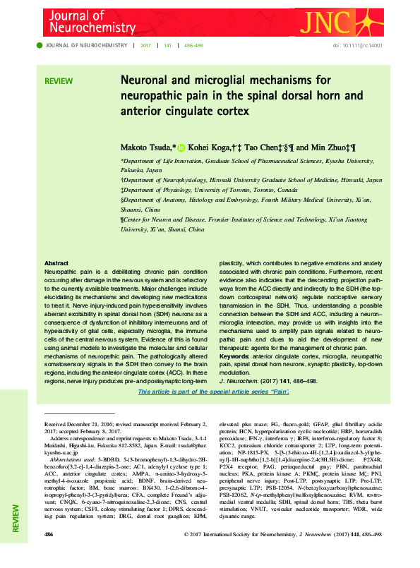(PDF) Neuronal and microglial mechanisms for neuropathic pain in the ...