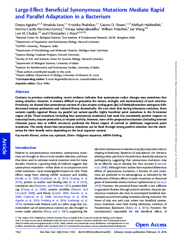 (PDF) Large-effect beneficial synonymous mutations mediate rapid and ...