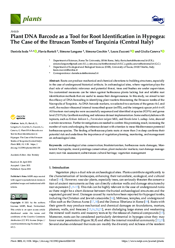 (PDF) Plant DNA Barcode as a Tool for Root Identification in Hypogea ...
