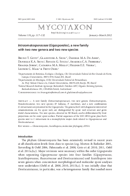 (PDF) Intraornatosporaceae (Gigasporales), a new family with two new ...