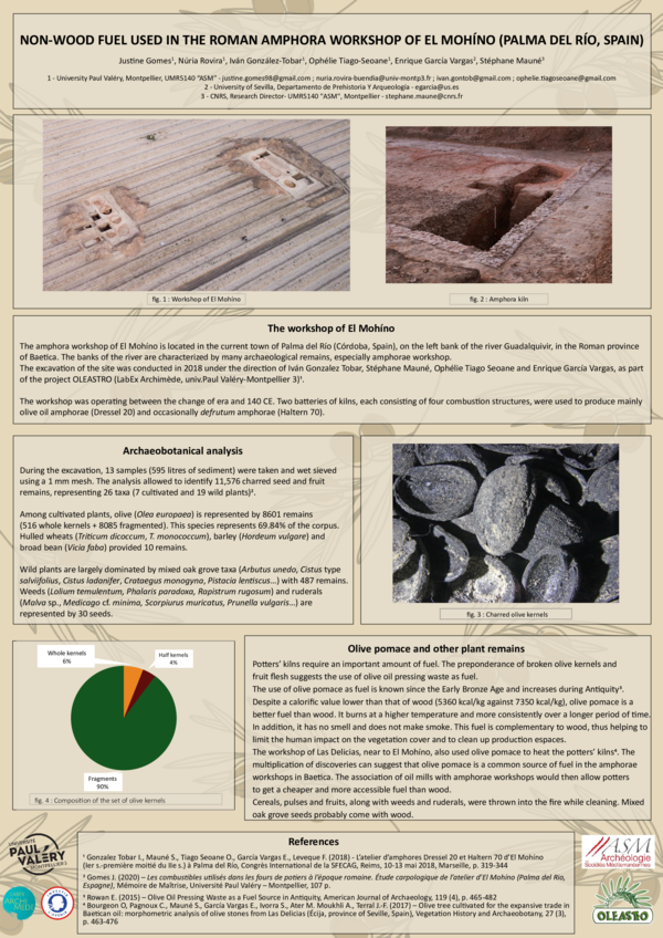 (PDF) Non-wood fuel used in the Roman amphora workshop of El Mohíno ...
